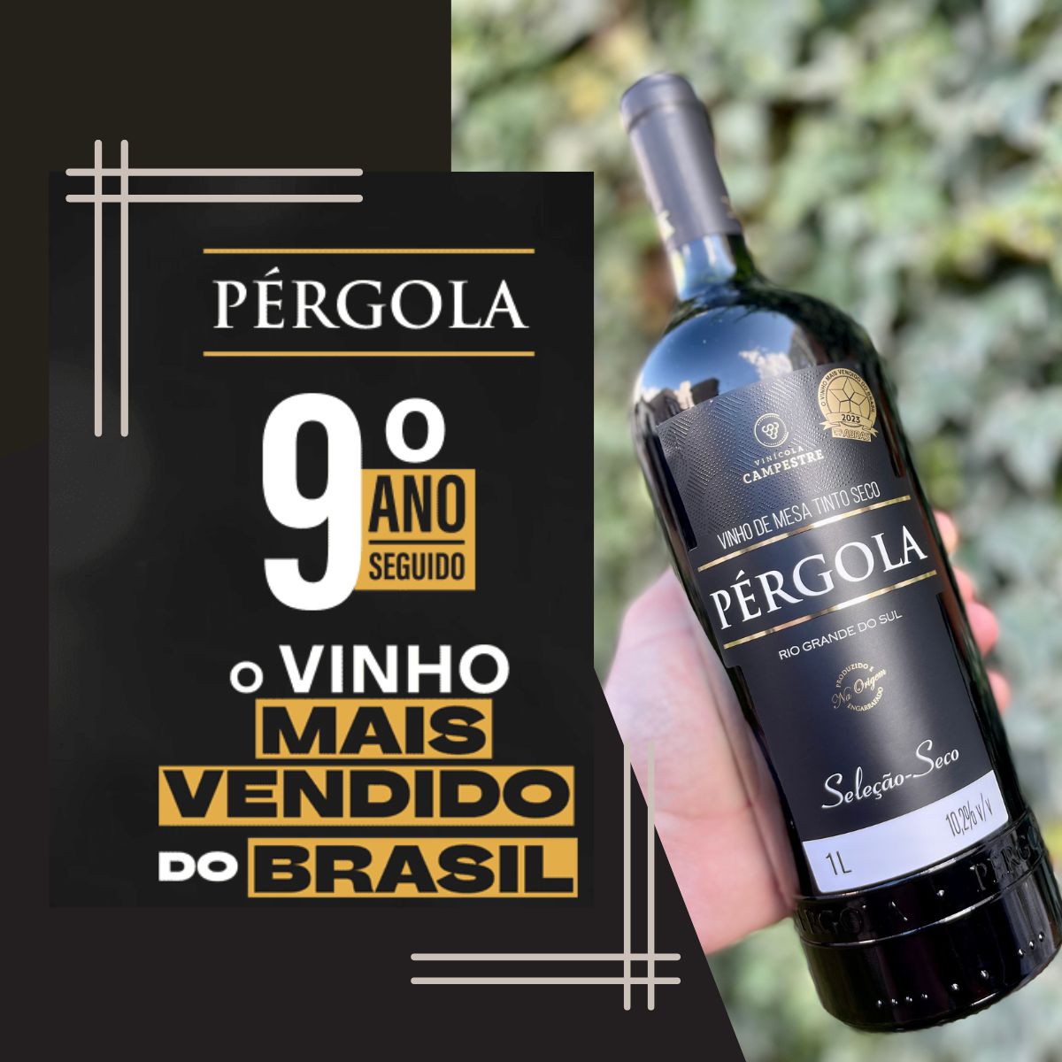 Vinho Tinto de Mesa Seco Pérgola Seleção 1 Litro - Maxvinhos - Vinhos ...