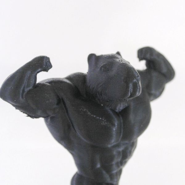 Capivara body Bodybuilder fisiculturista decoração divertid - 3d pop