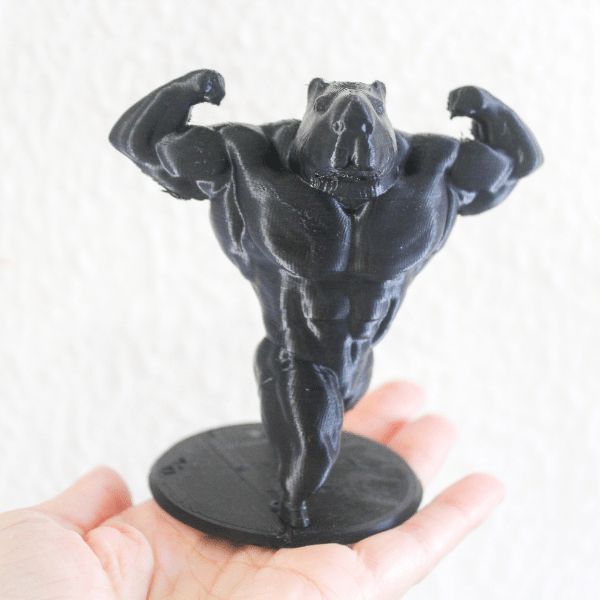 Capivara body Bodybuilder fisiculturista decoração divertid - 3d pop
