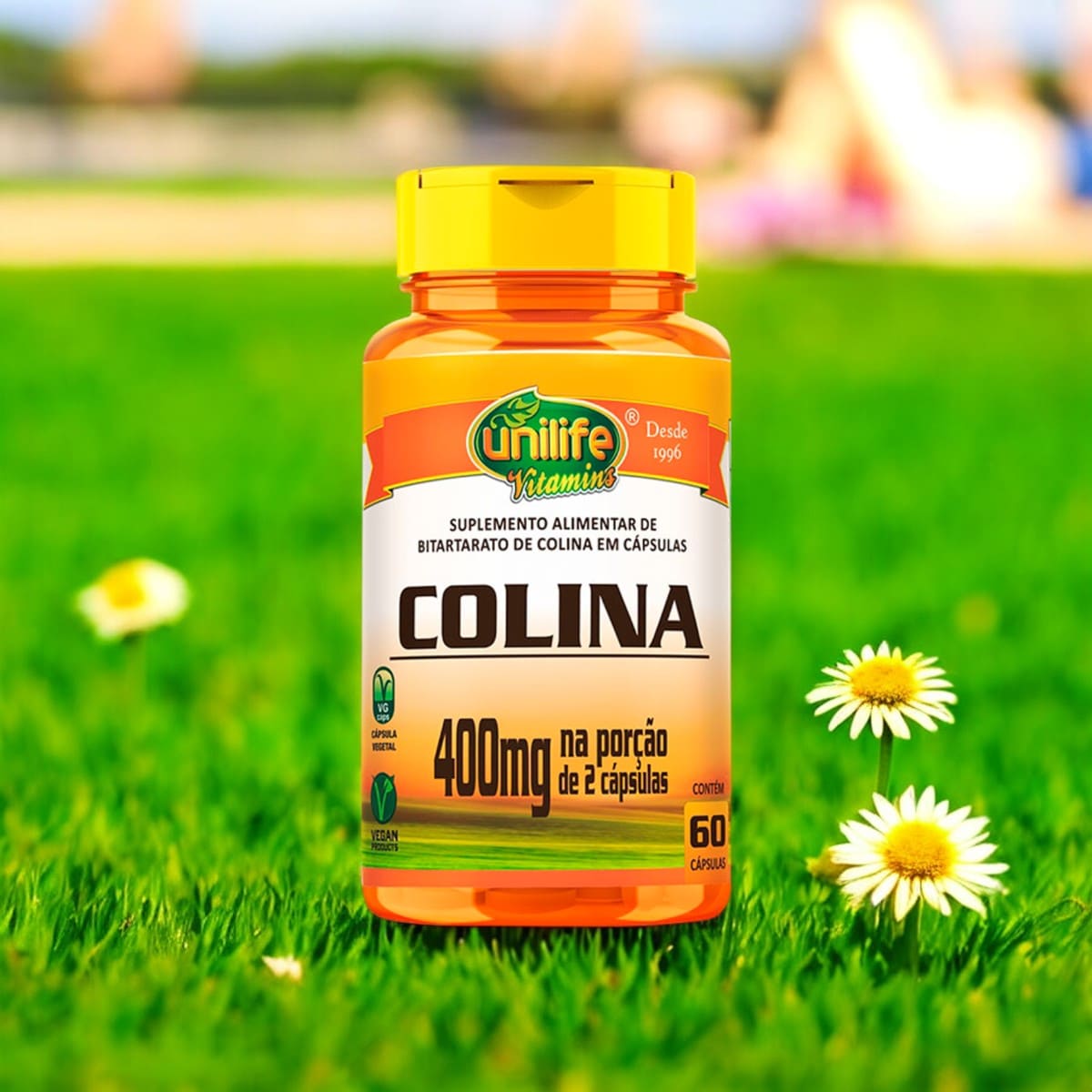 Colina 400mg 60 Cápsulas - Suplemento de Alta Qualidade | W3LIFE - W3 ...
