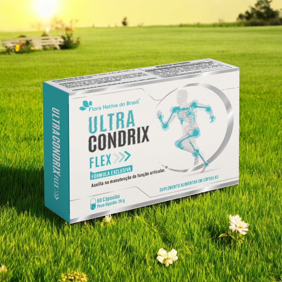Ultra Condrix Flex 60 Cápsulas - Suplemento para Articulações | W3LIFE ...