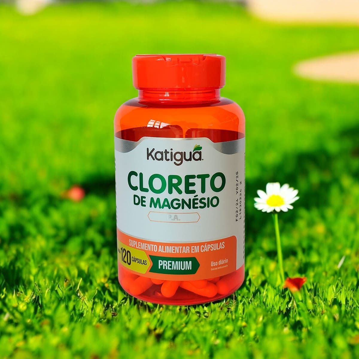 Cloreto de Magnésio P.A. 120 Cápsulas - Katigua | W3LIFE - W3 Life - Loja Online de Vitaminas e ...
