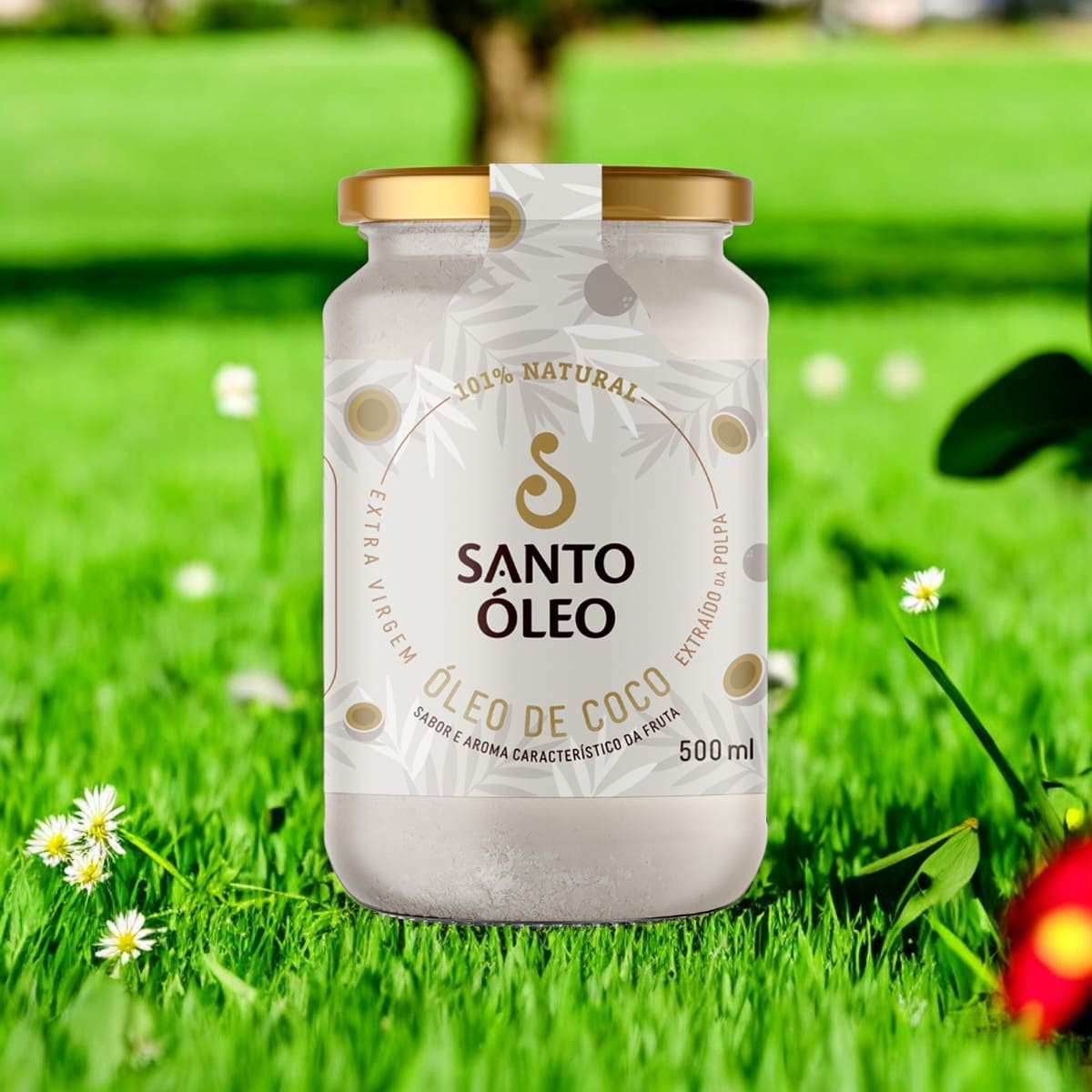 Óleo de Coco Extraído da Polpa 500ml - Santo Óleo | W3LIFE - W3 Life ...