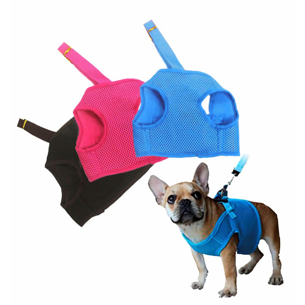 Conjunto Peitoral e Guia Confort - Rosa - Dropet Distribuidora Pet ...