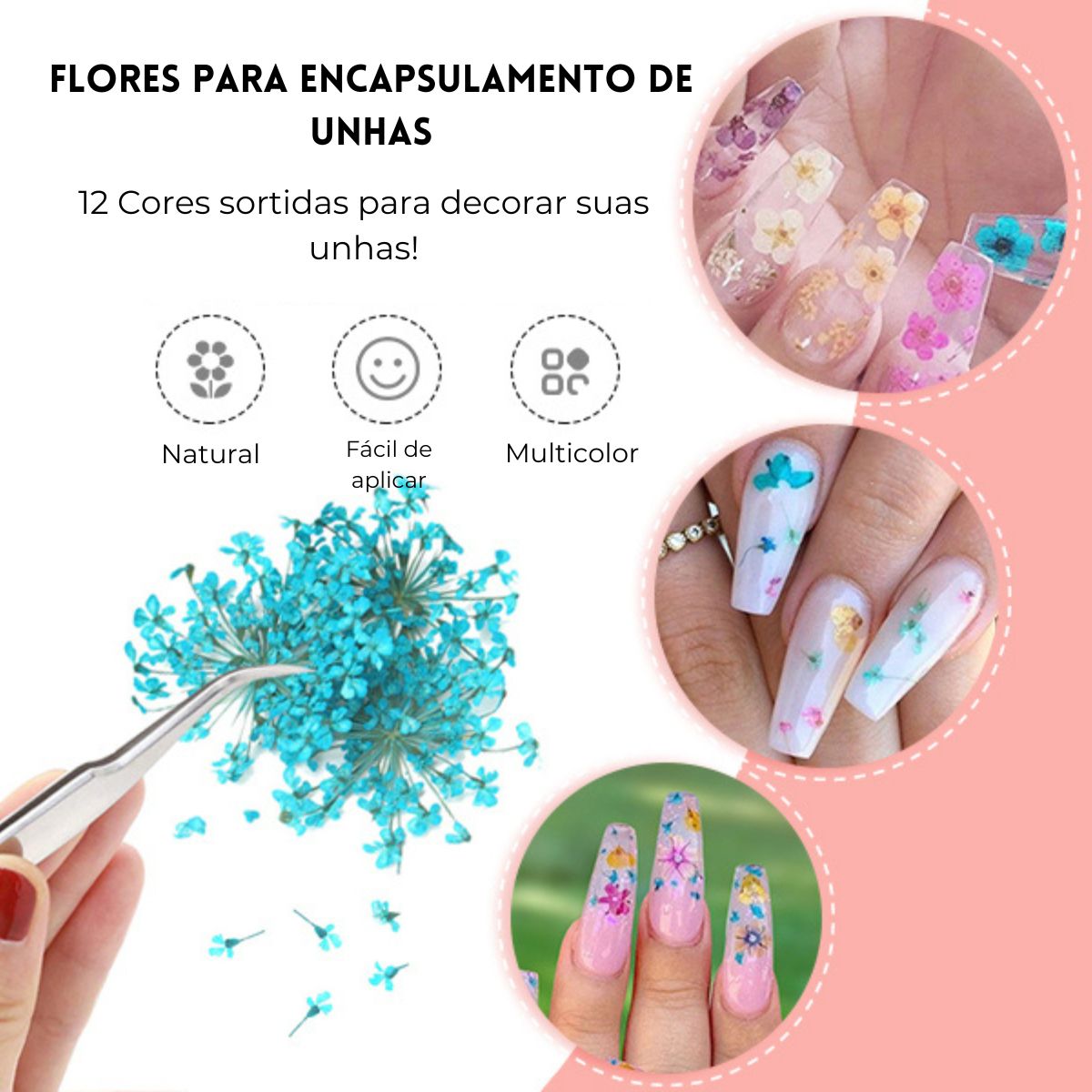 Flores Secas Para Decoração E Encapsulamento De Unhas Gel Nail Art