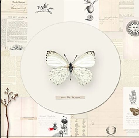 Quadro Box Colagem - Your fly is open - Mercatto Casa Atacado