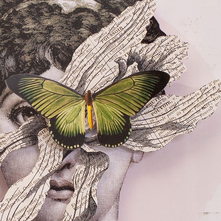 Quadro Galleria - Allegra - Bloom Where Your Planted - Mercatto Casa ...