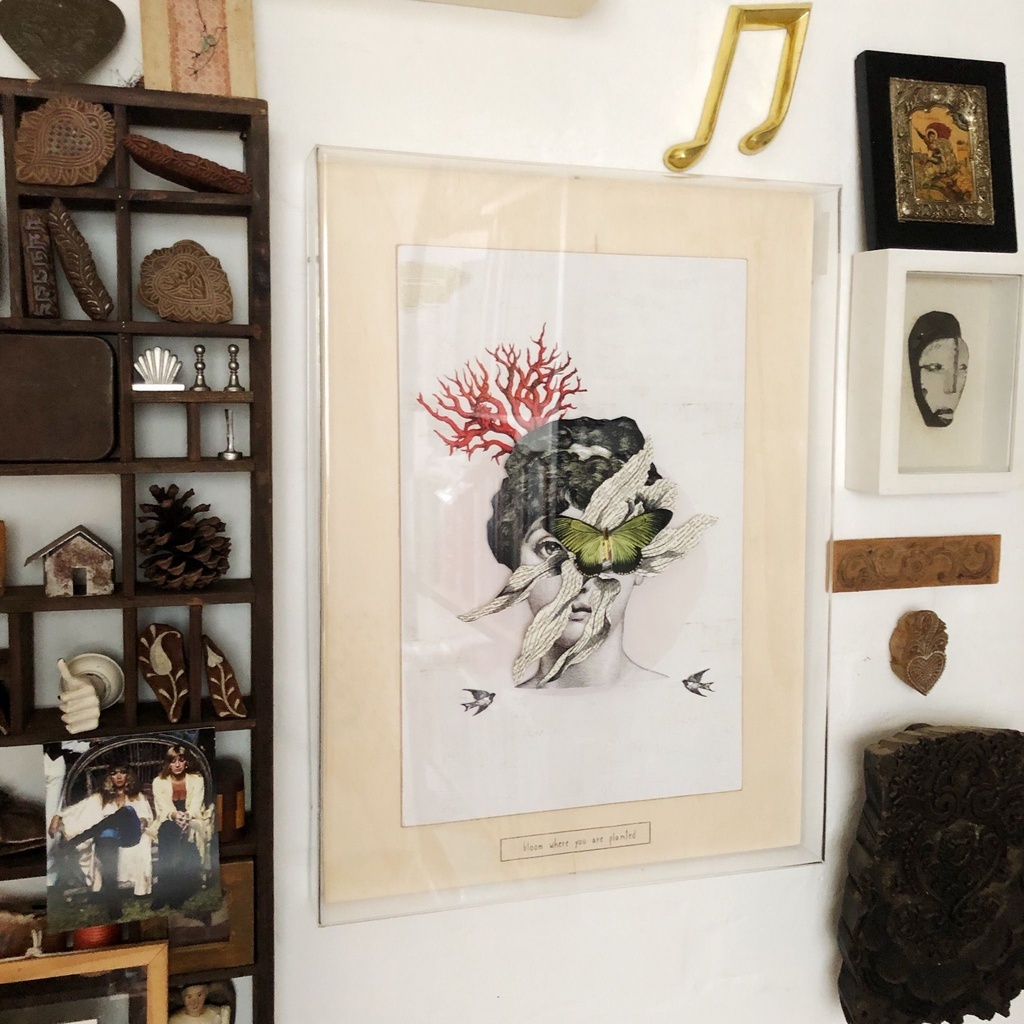 Quadro Galleria - Allegra - Bloom Where Your Planted - Mercatto Casa ...