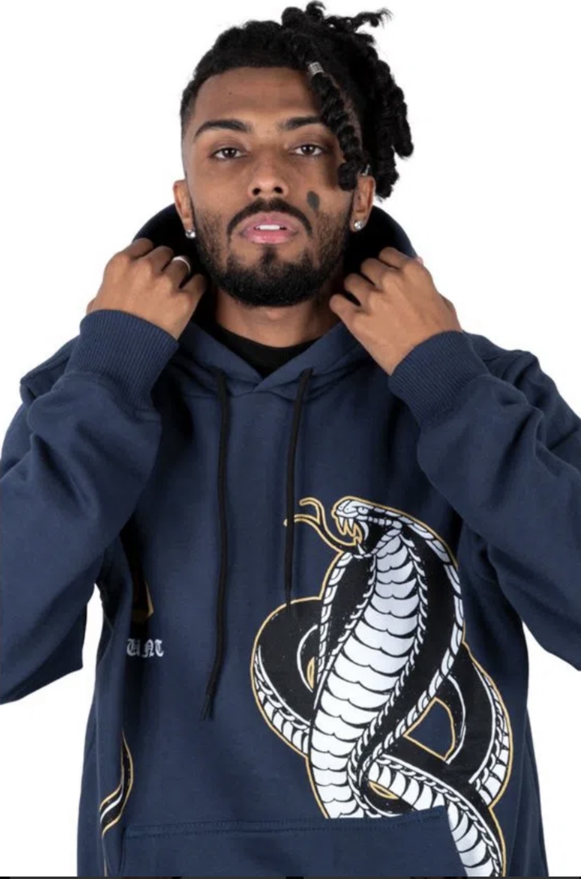 Moletom Blunt Snake | Bang Life Skate Shop - Bang Life Skate Shop ...