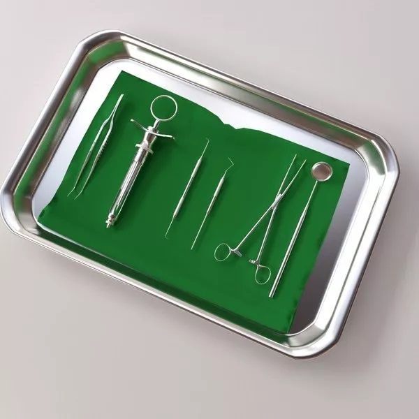 BANDEJA CIRÚRGICA DE INOX RETANGULAR 30X20X1,5 - FORTINOX - Medis ...