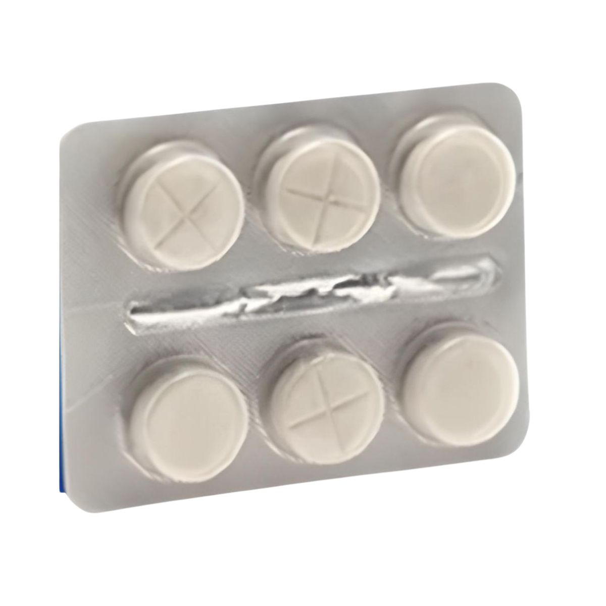 Vermífugo Vermicida Giardicida Fenzol Pet para Cães 500mg Agener União ...