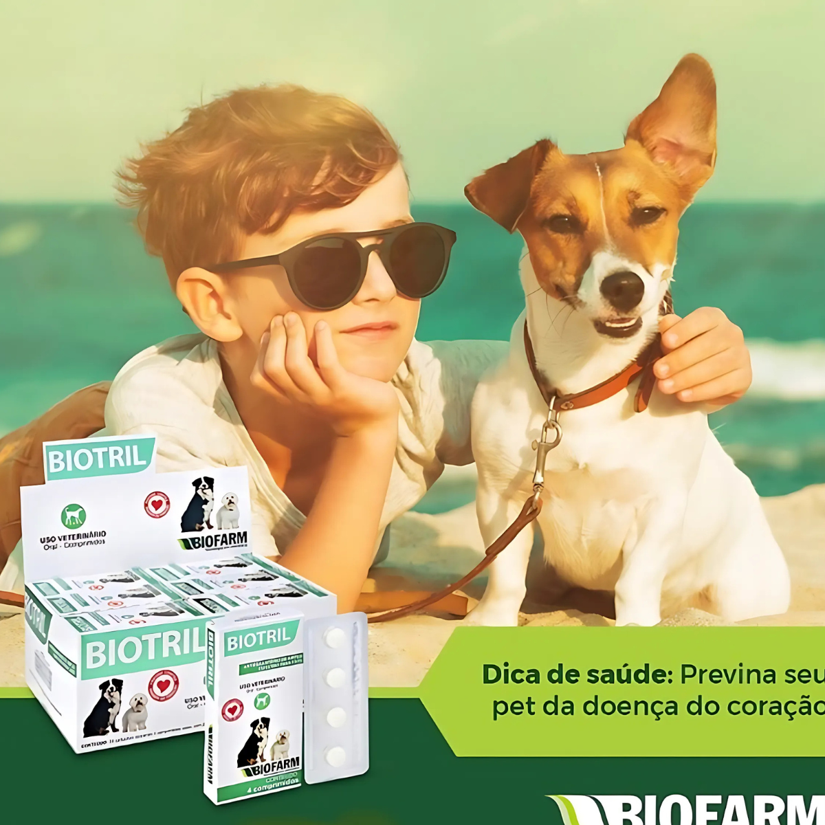 Antiparasitário de Amplo Espectro para Cães Vermífugo Biotril - 4 ...