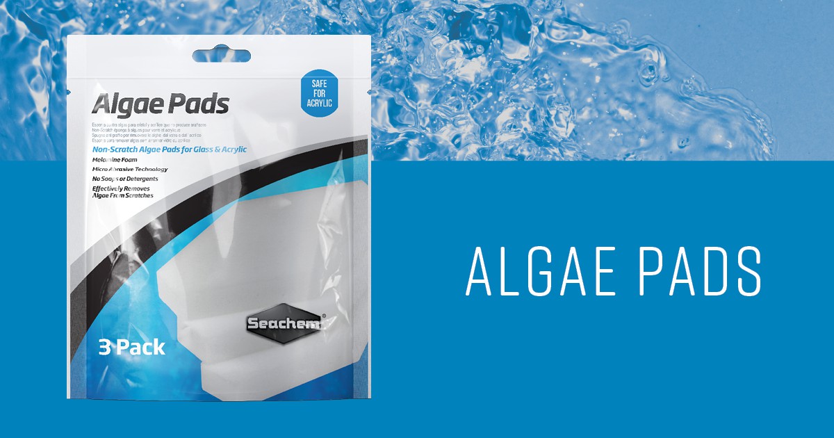 Algae Pads Seachem 15mm 3 pack - Pet Here