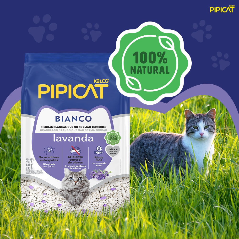 Granulado Sanitário Pipicat Bianco Lavanda 1,8kg - Pet Here