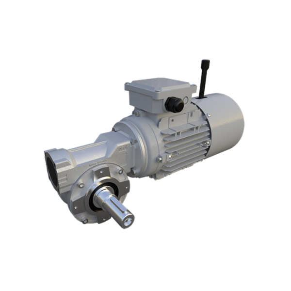 Motoredutor de Coroa e Sem Fim - IBR R - Maxi Redutores - Soluções em ...