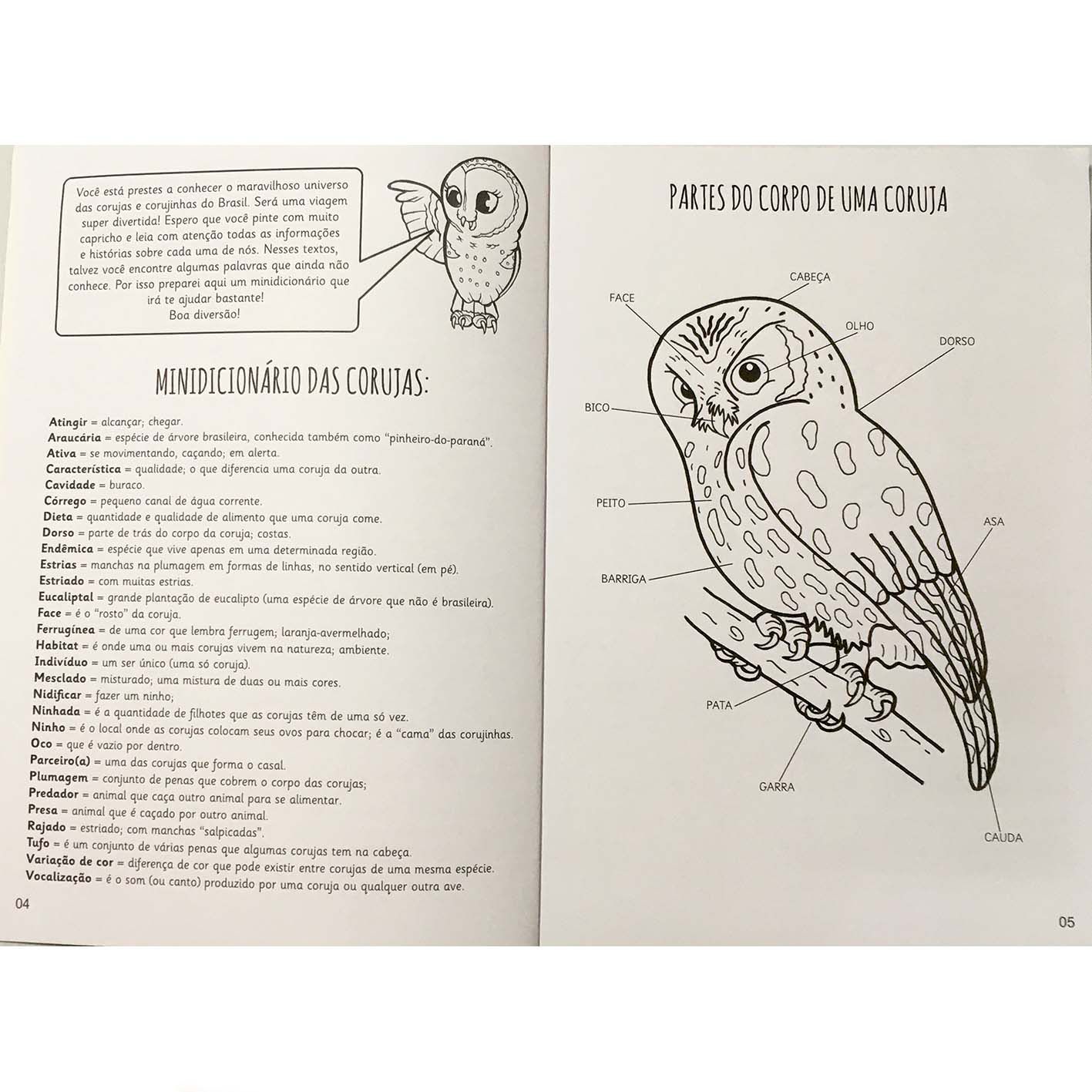 Corujas do Brasil, aves para colorir, desenho de passarinho, jacurutu - A Loja dos Passarinhos