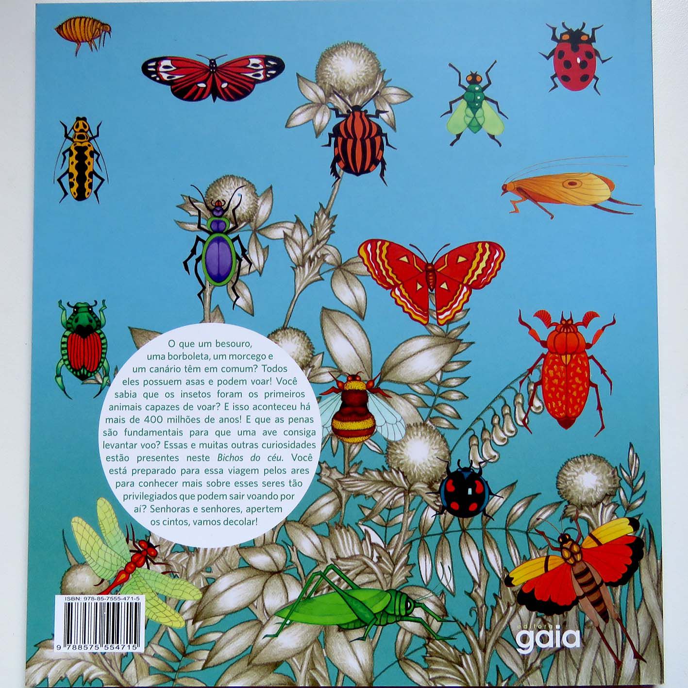 insetos que voam, morcegos, aves do Brasil, educação ambiental - A Loja ...