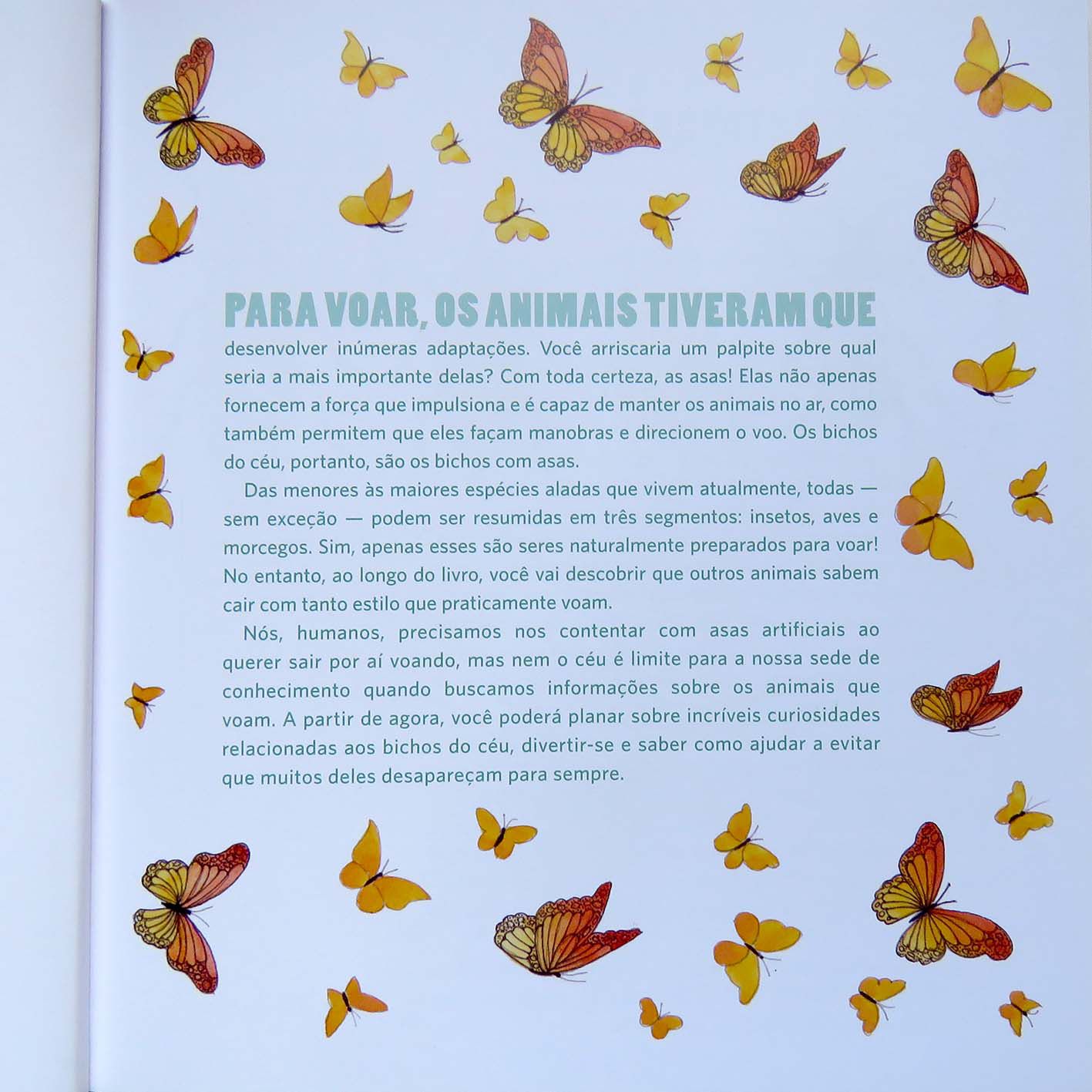 insetos que voam, morcegos, aves do Brasil, educação ambiental - A Loja ...