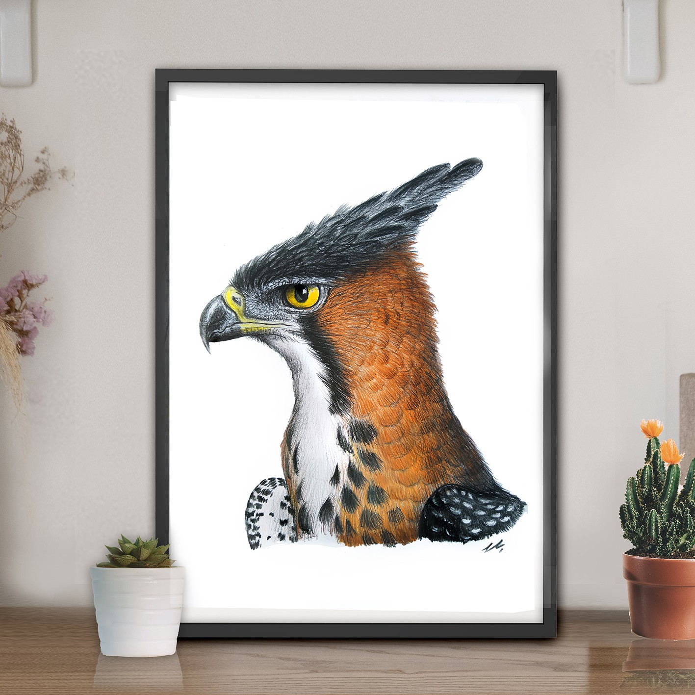 gavião, gravura em fine art, ilustração fine art, desenho gavião - A ...