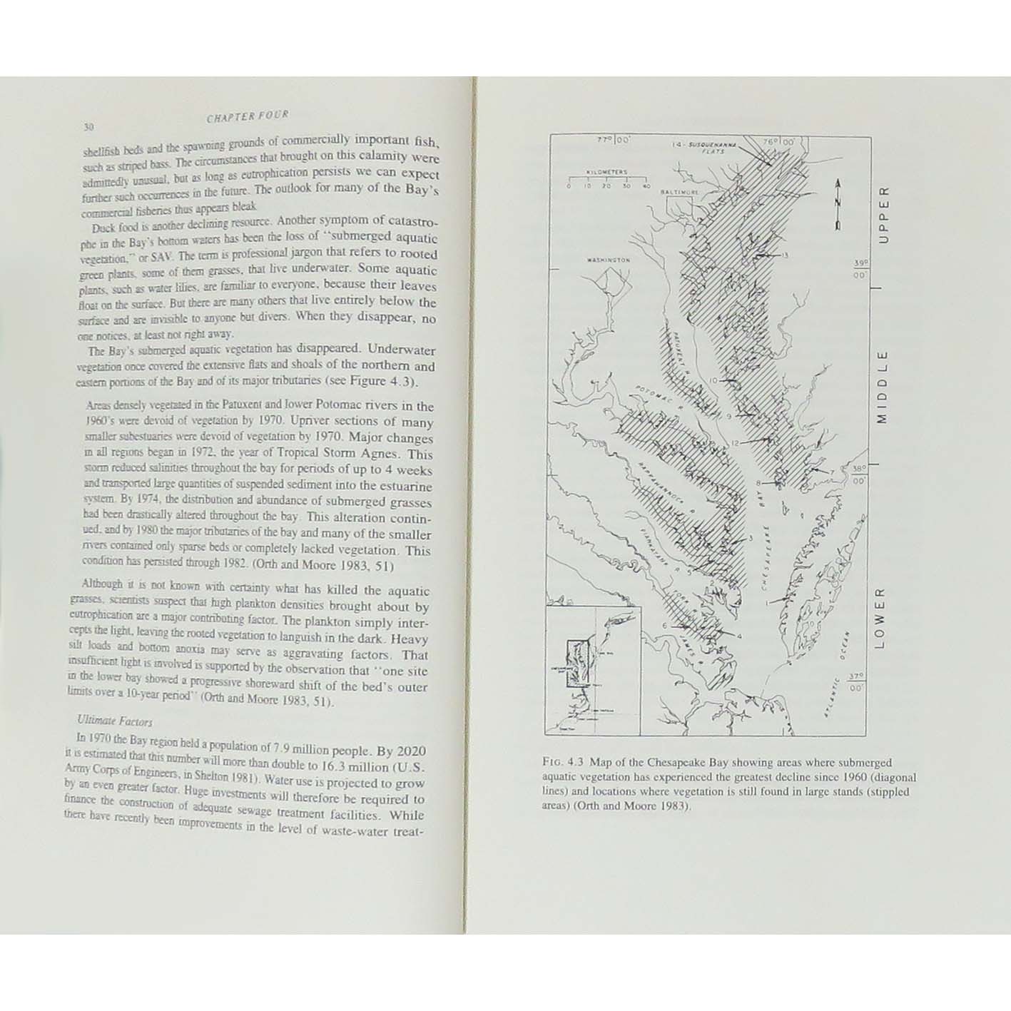 conservação das aves, migração das aves, aves migratórias, aves ameaça ...