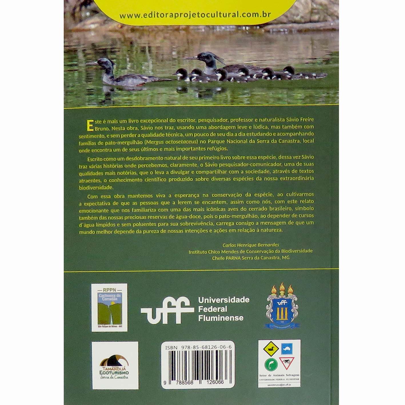 pato-mergulhão, Serra da Canastra, aves Cerrado, aves de Minas Gerais ...