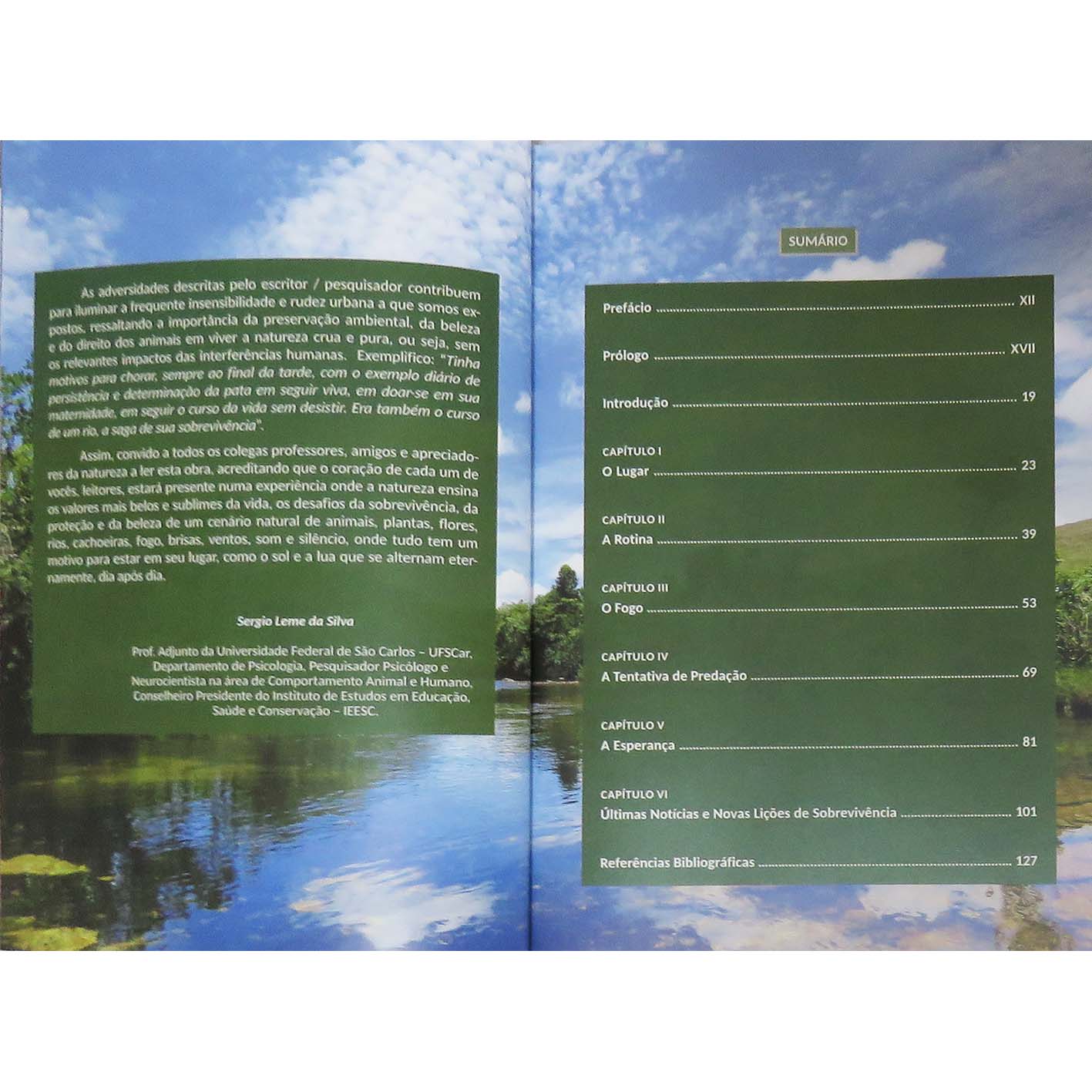 pato-mergulhão, Serra da Canastra, aves Cerrado, aves de Minas Gerais ...