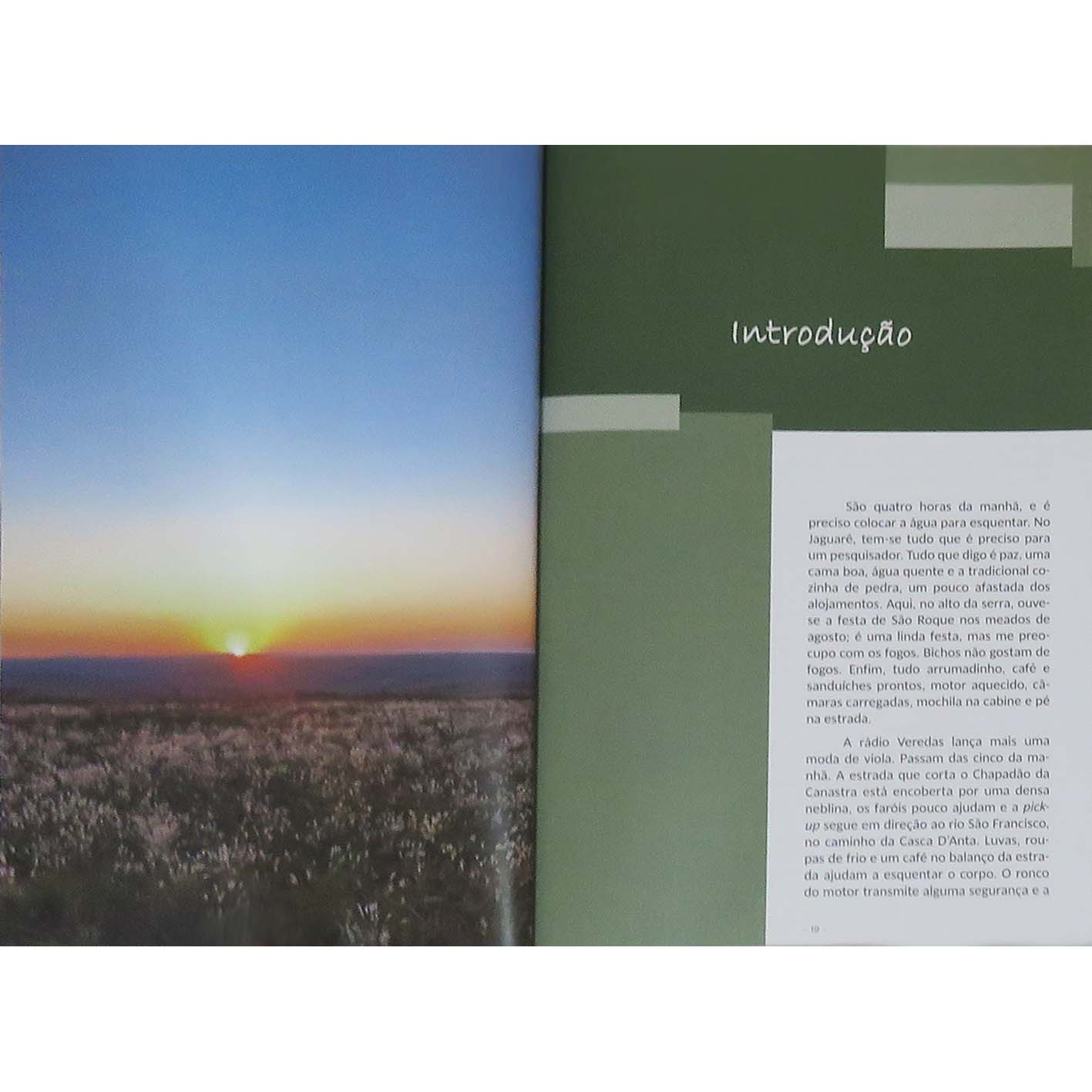 pato-mergulhão, Serra da Canastra, aves Cerrado, aves de Minas Gerais ...