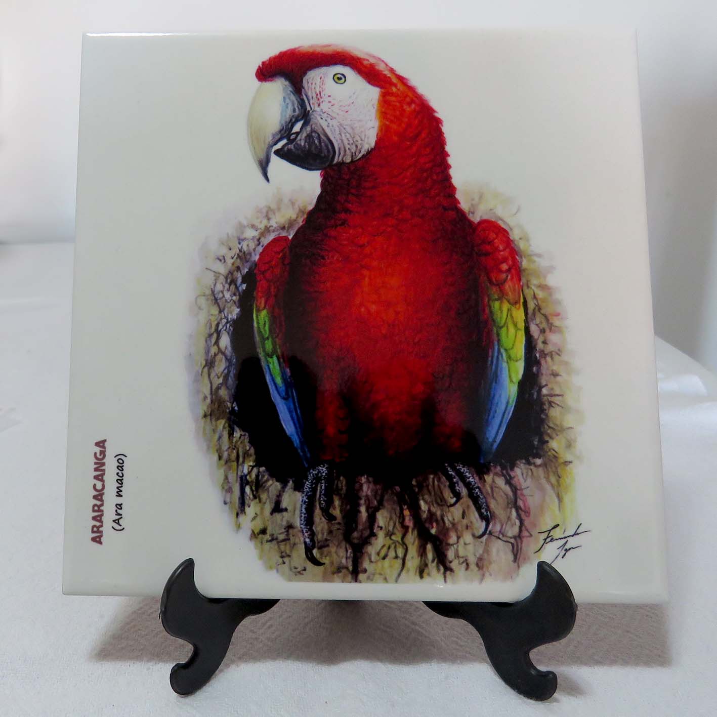 Azulejo decorado, arte cerâmica, quadro passarinho, quadro arara - A Loja dos Passarinhos