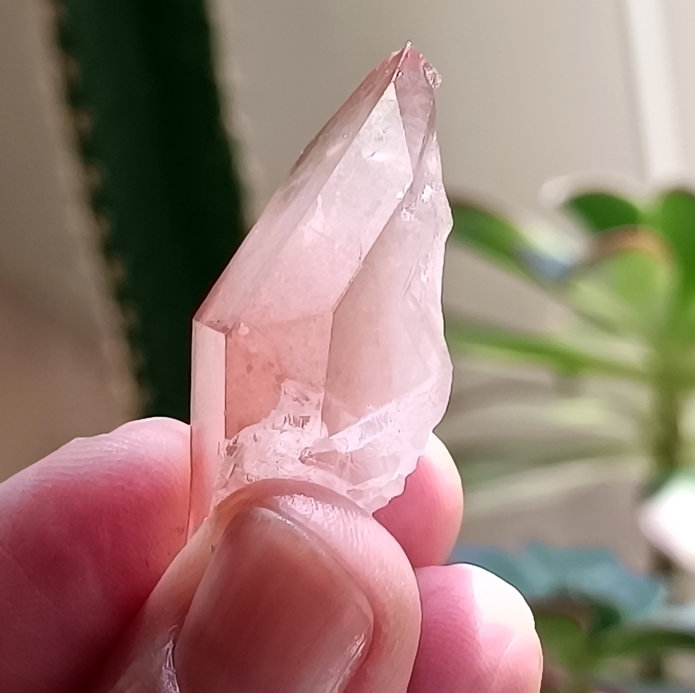 Pink Lemurian - Nirvana Cristais