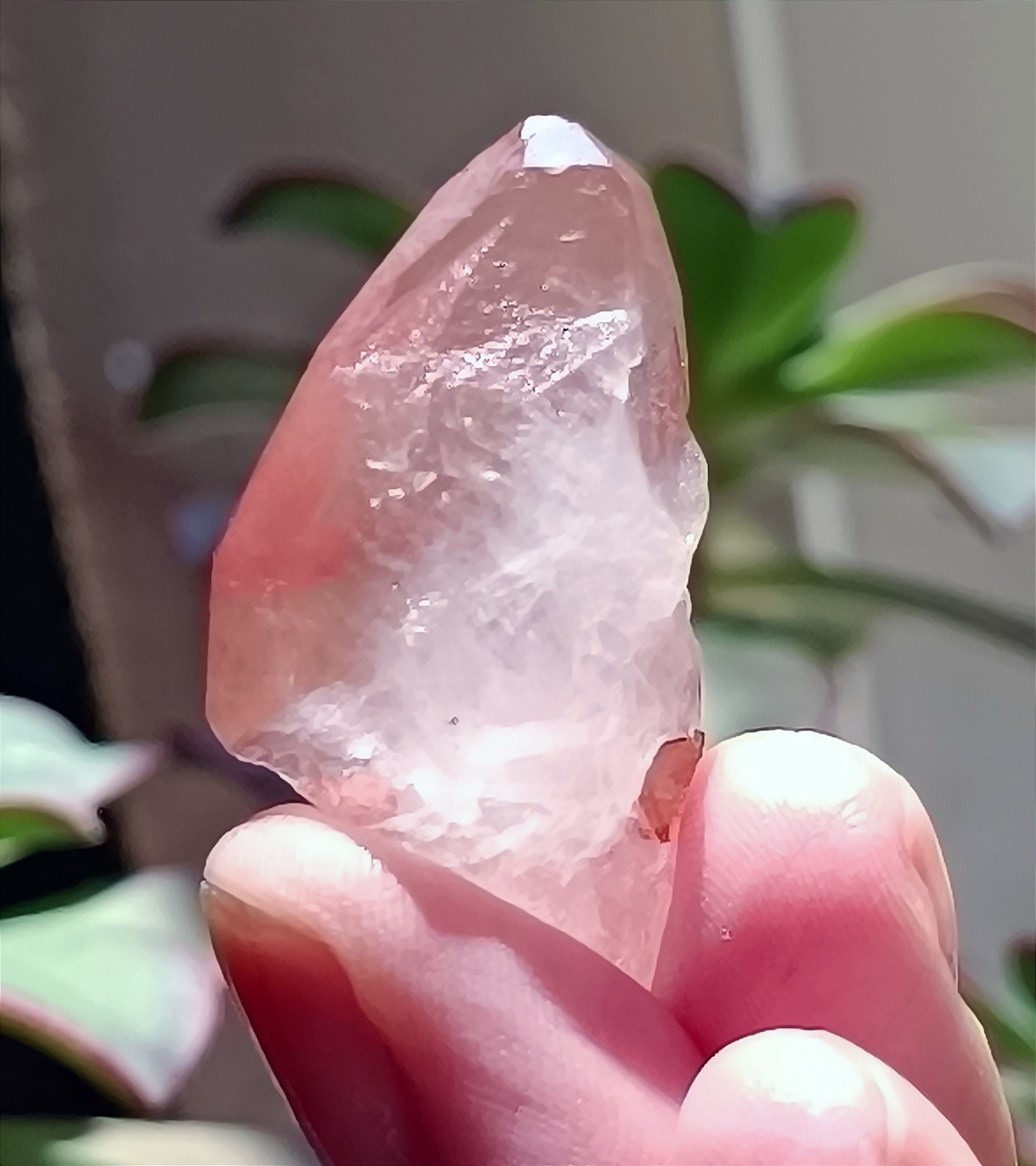 Pink Lemurian - Nirvana Cristais