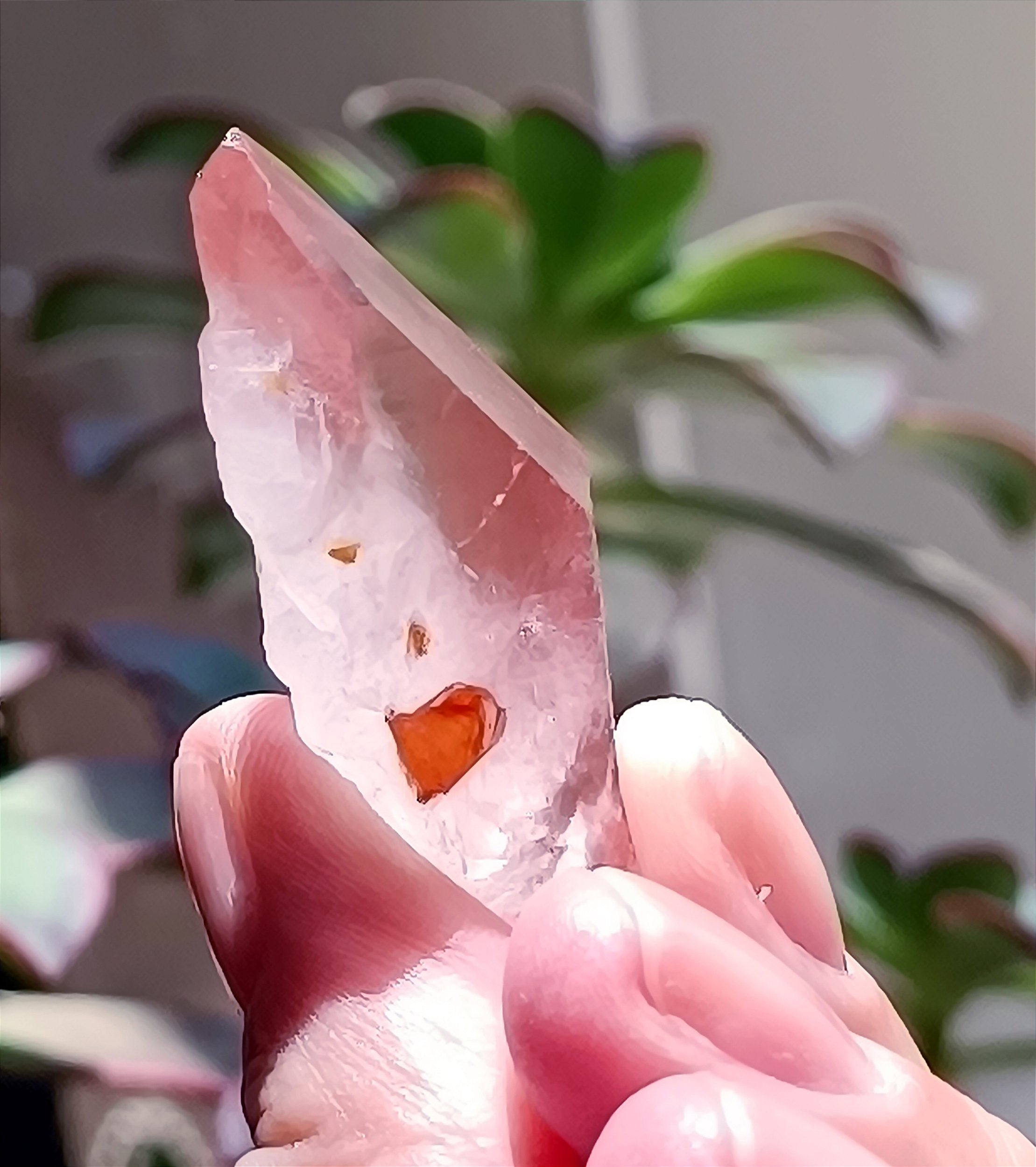 Pink Lemurian - Nirvana Cristais