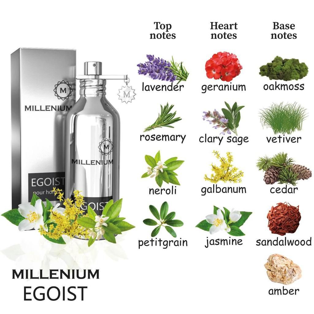 Perfume Masculino Millenium Egoist EDP 100ml - MAGAZINE - Moda ...