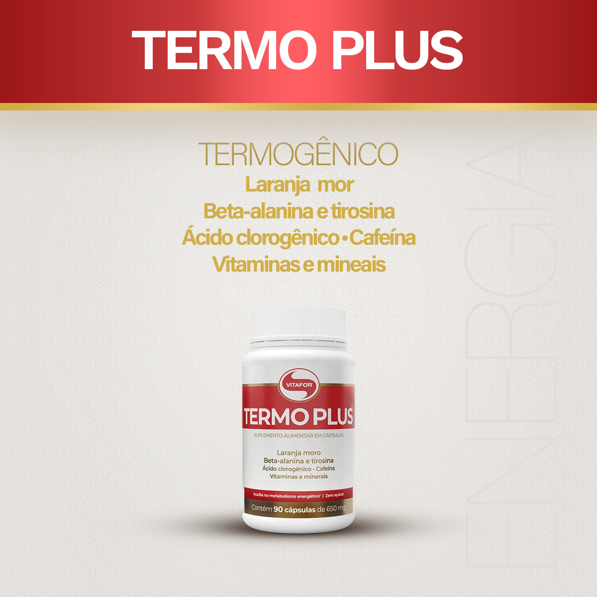 Termo Plus – 90 Cápsulas – Vitafor - MUV Suplementos