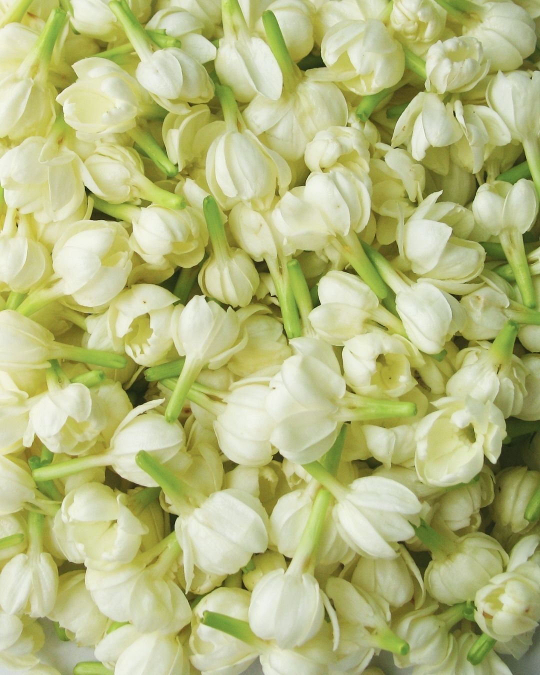 Molho Primavera - com Jasmim - 250ml (produção limitada) - Origem Temperos