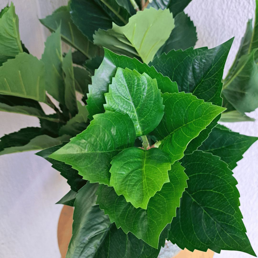 43596001 A.DRYMONIA FOLHA REAL TOQUE C/POTE X74 (VERDE) 60cm COM VASO ...