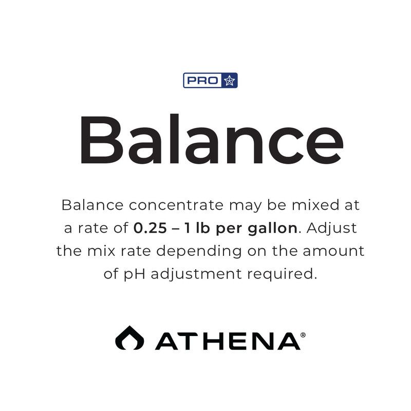 Athena Balance 946ml - Orange House Store - A maior Tabacaria, Head ...