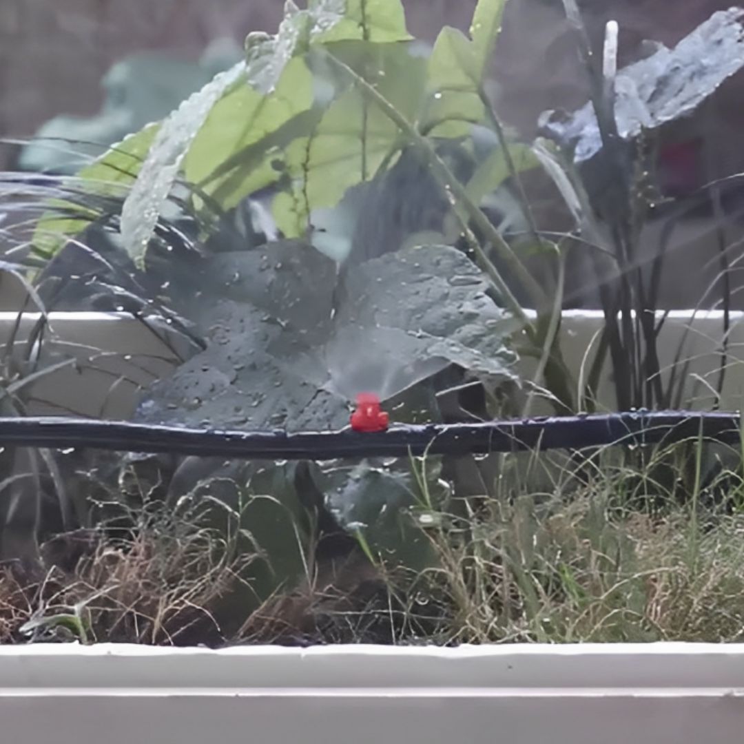 50 Microaspersor Spray Jet Vermelho Estático Irrigação 360 - AgrícolaShop