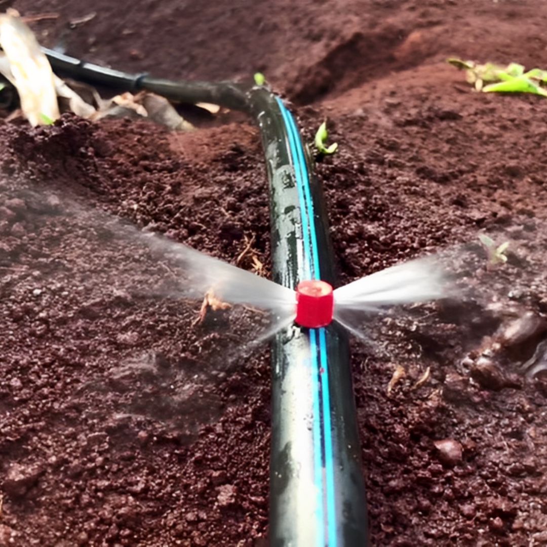 1000 Microaspersor Spray Jet Vermelho Estático Irrigação 360 - AgrícolaShop