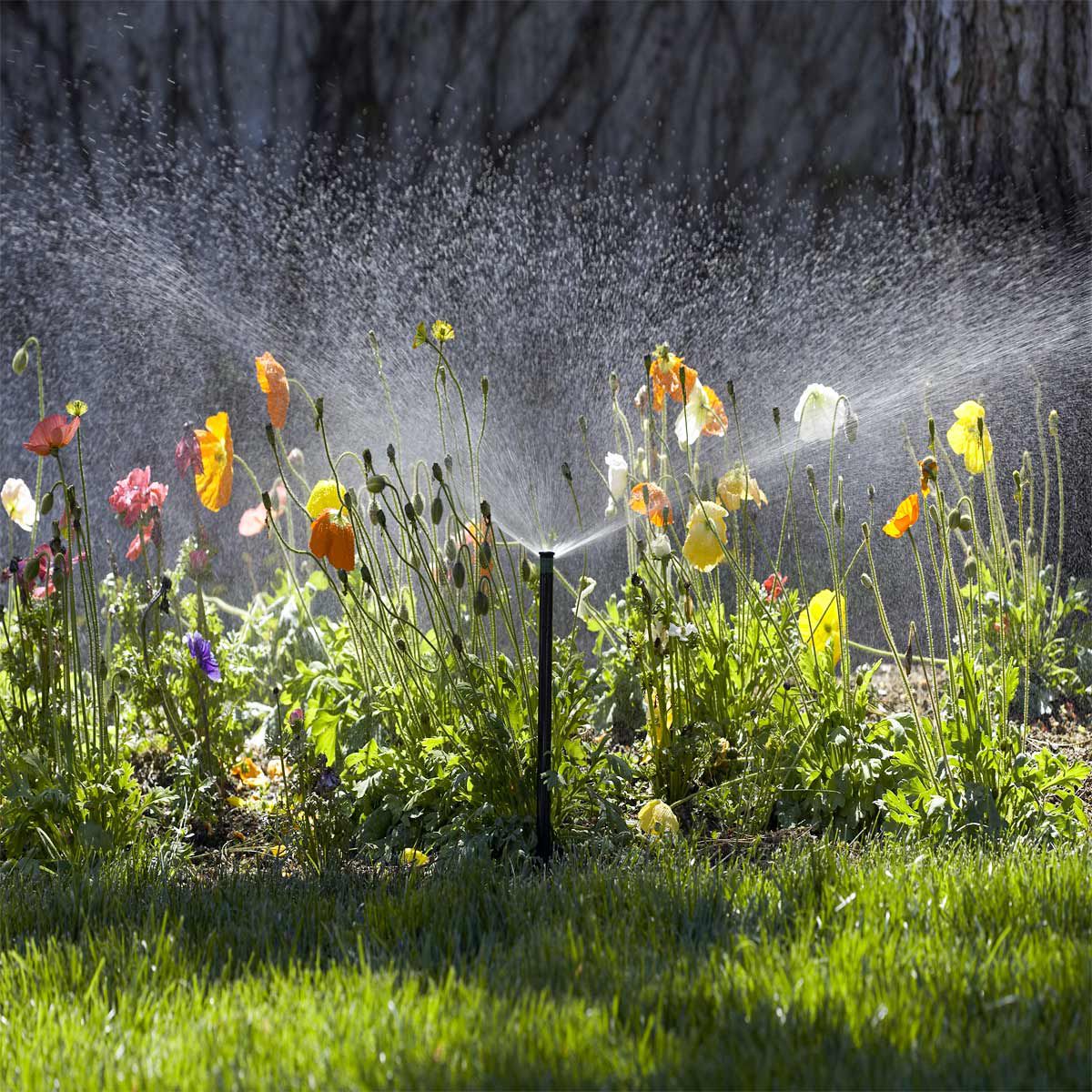 Aspersor Hunter Pro Spray 04 Pop Up Irrigação 10 cm - AgrícolaShop