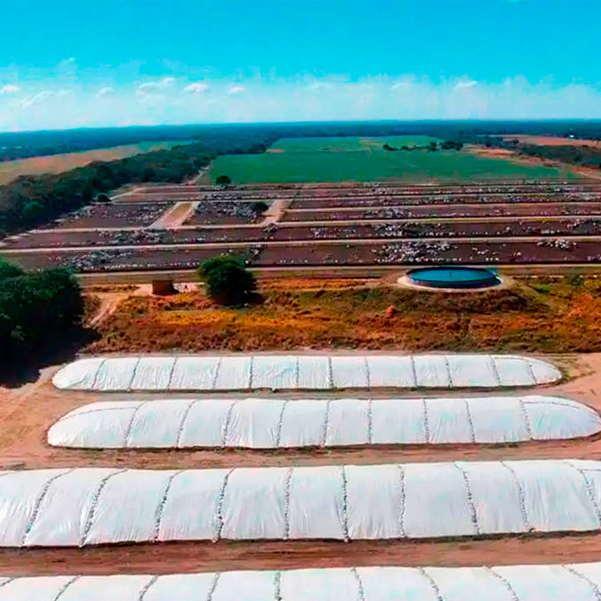 Lona para Silagem TechSilo 35kg 14x25m - AgrícolaShop