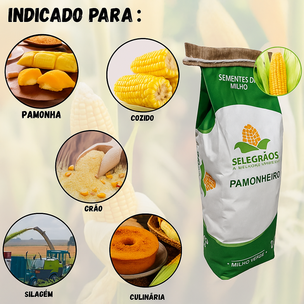 Sementes de Milho Híbrido Pamonheiro Selegrãos – Alta Germinação, 2 kg ...