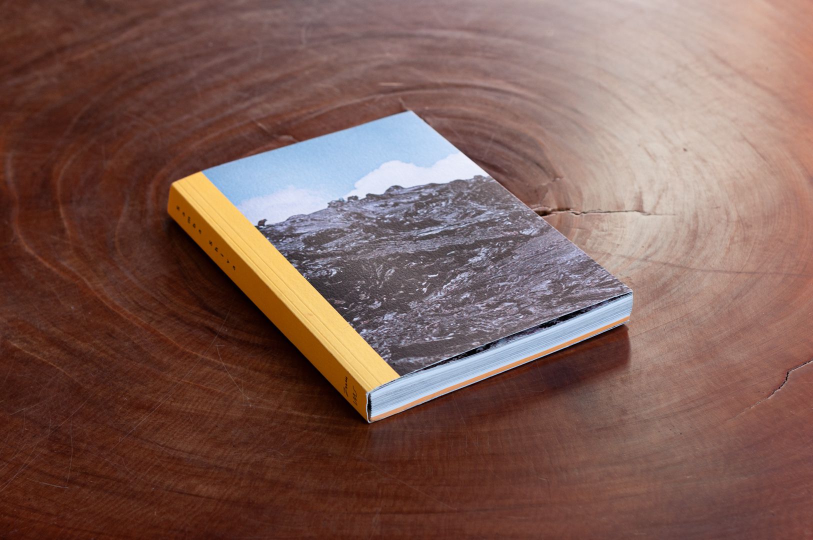 Samba Shiva de Sambasiva Rao Patchineelam - Livraria Portfolio