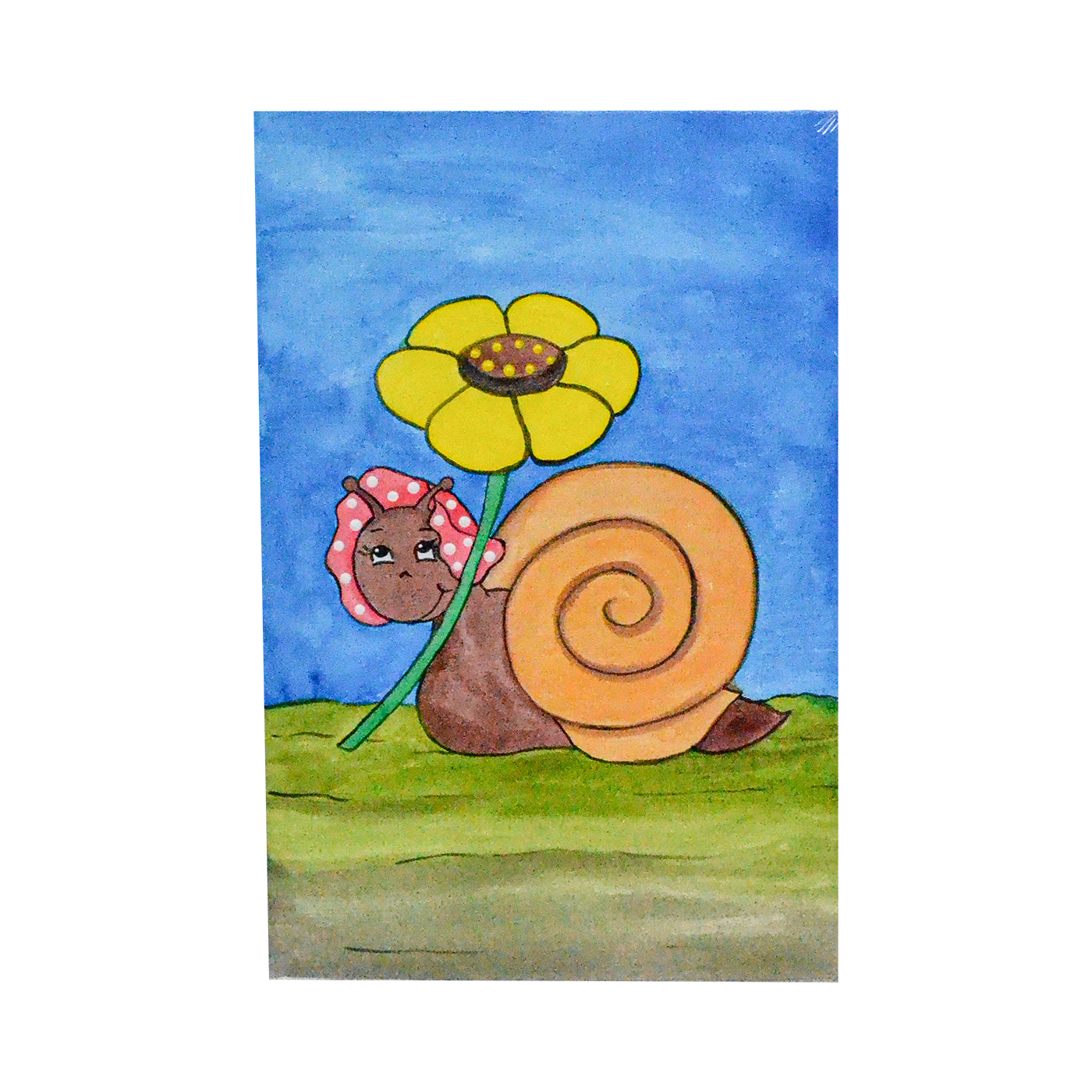 Tela Riscada Caracol - Loja oficial Daiara