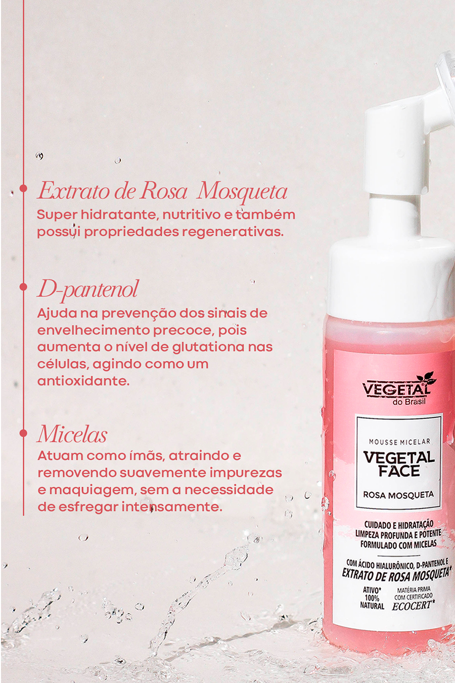 MOUSSE MICELAR ROSA MOSQUETA - Vegetal do Brasil - Loja de Fábrica