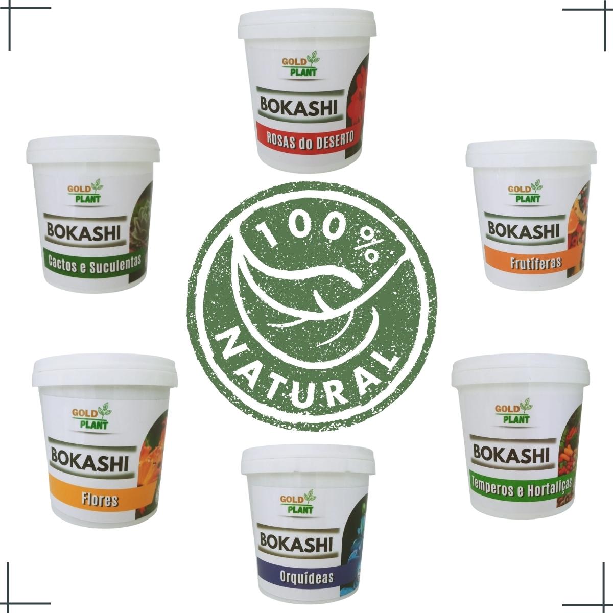 Bokashi Gold Plant - Gold Plant