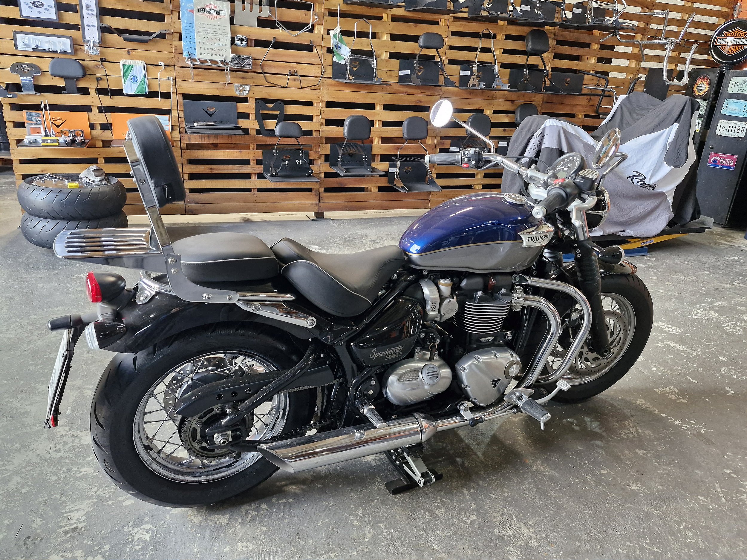 Sissy bar Triumph BonneVille Speedmaster 1200 - V2 Custom