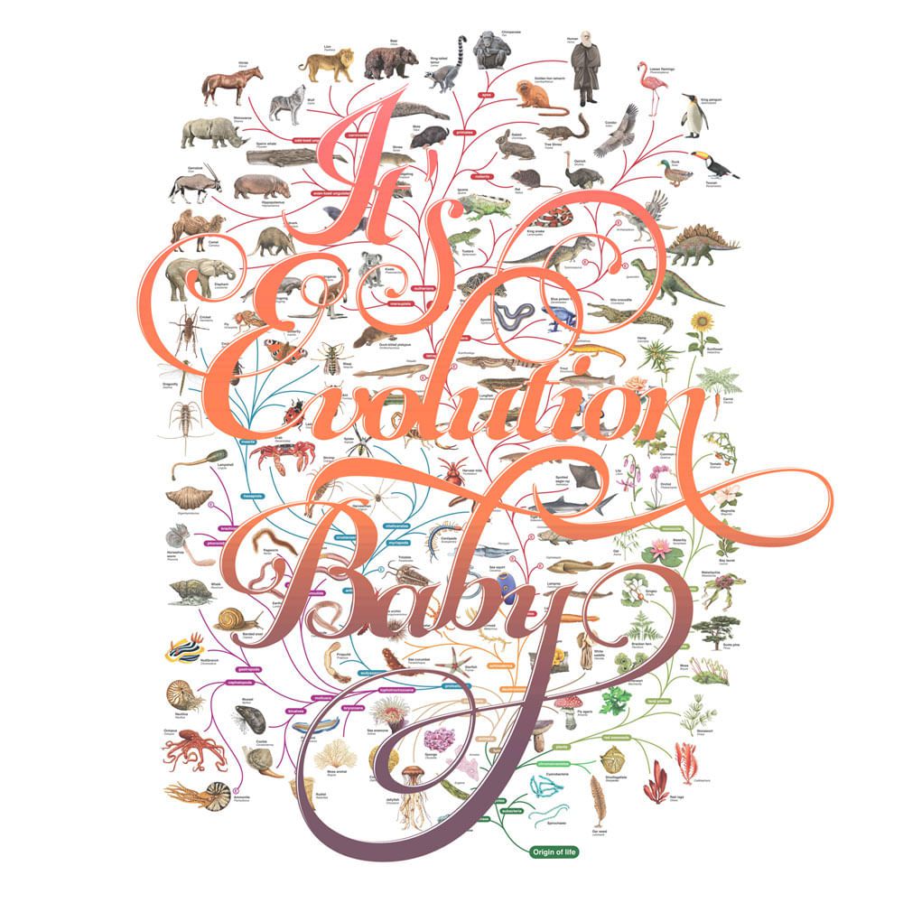 It`s Evolution Baby - Camiseta Clássica Feminina - El Cabriton ...