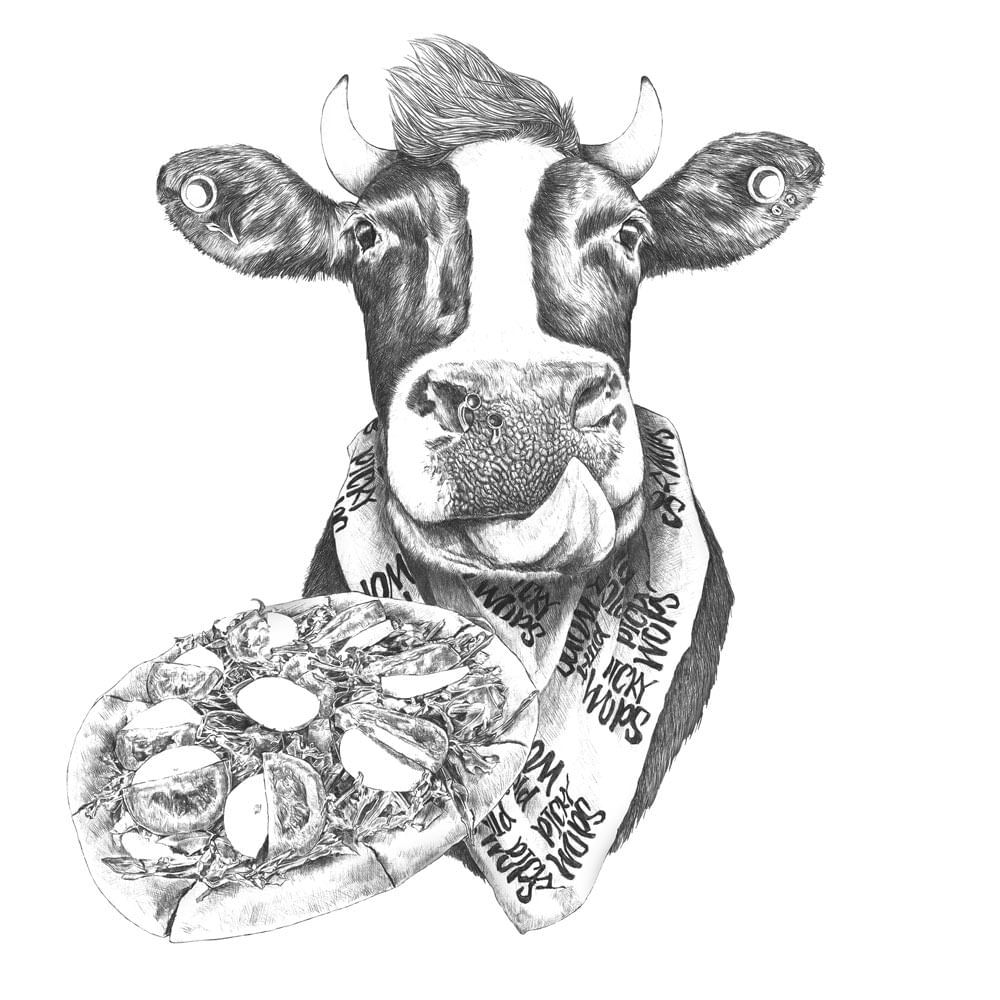 Picky Moo - Body Infantil - El Cabriton Camisetas Online! Vamos colocar ...