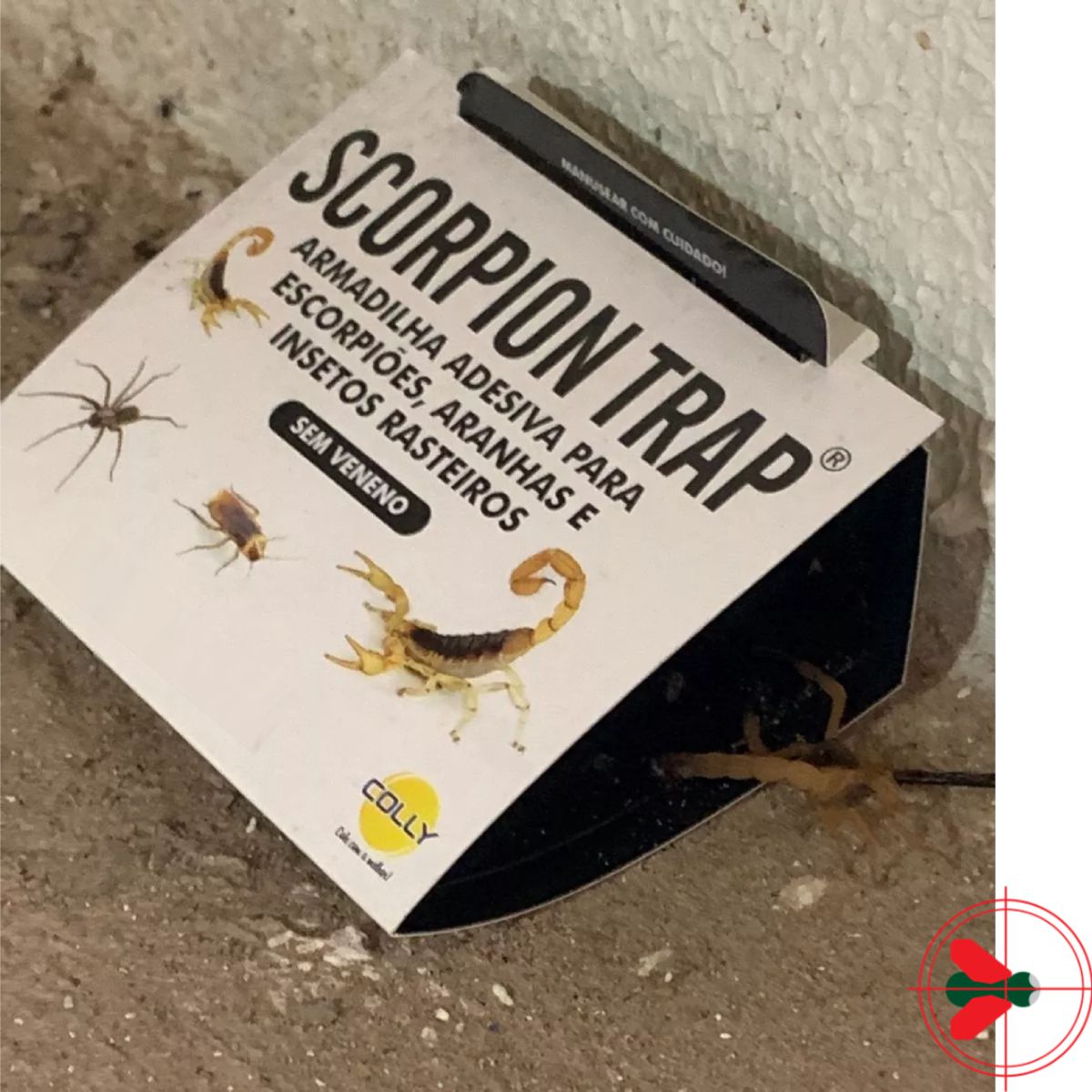 Armadilha Adesiva Para Escorpião Scorpion Trap 20 Unidades - Pestshop