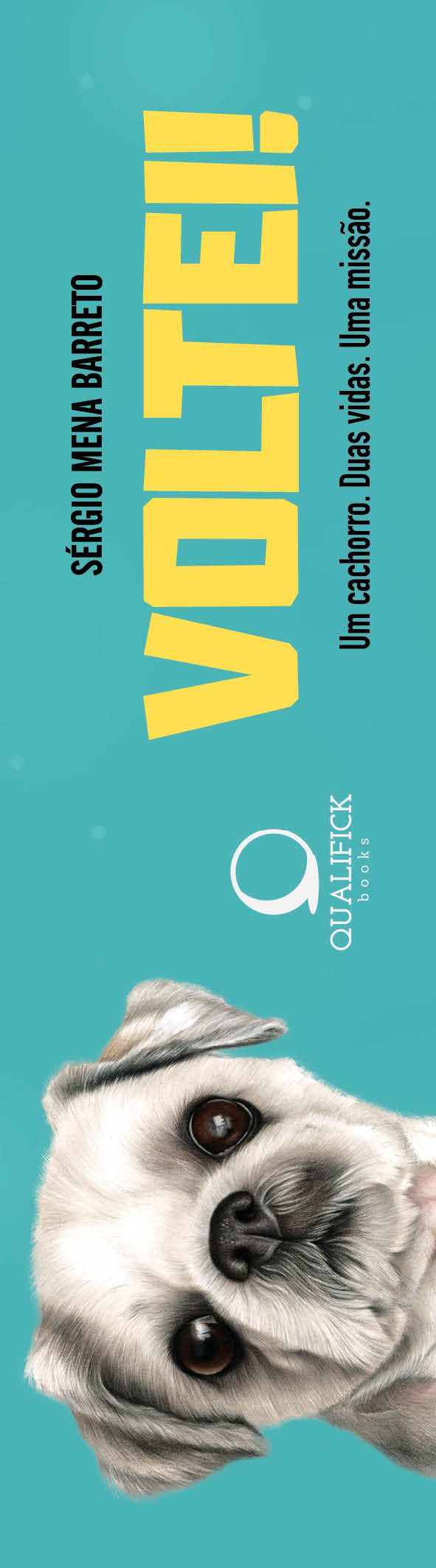 Livro Voltei! - Qualifick Books